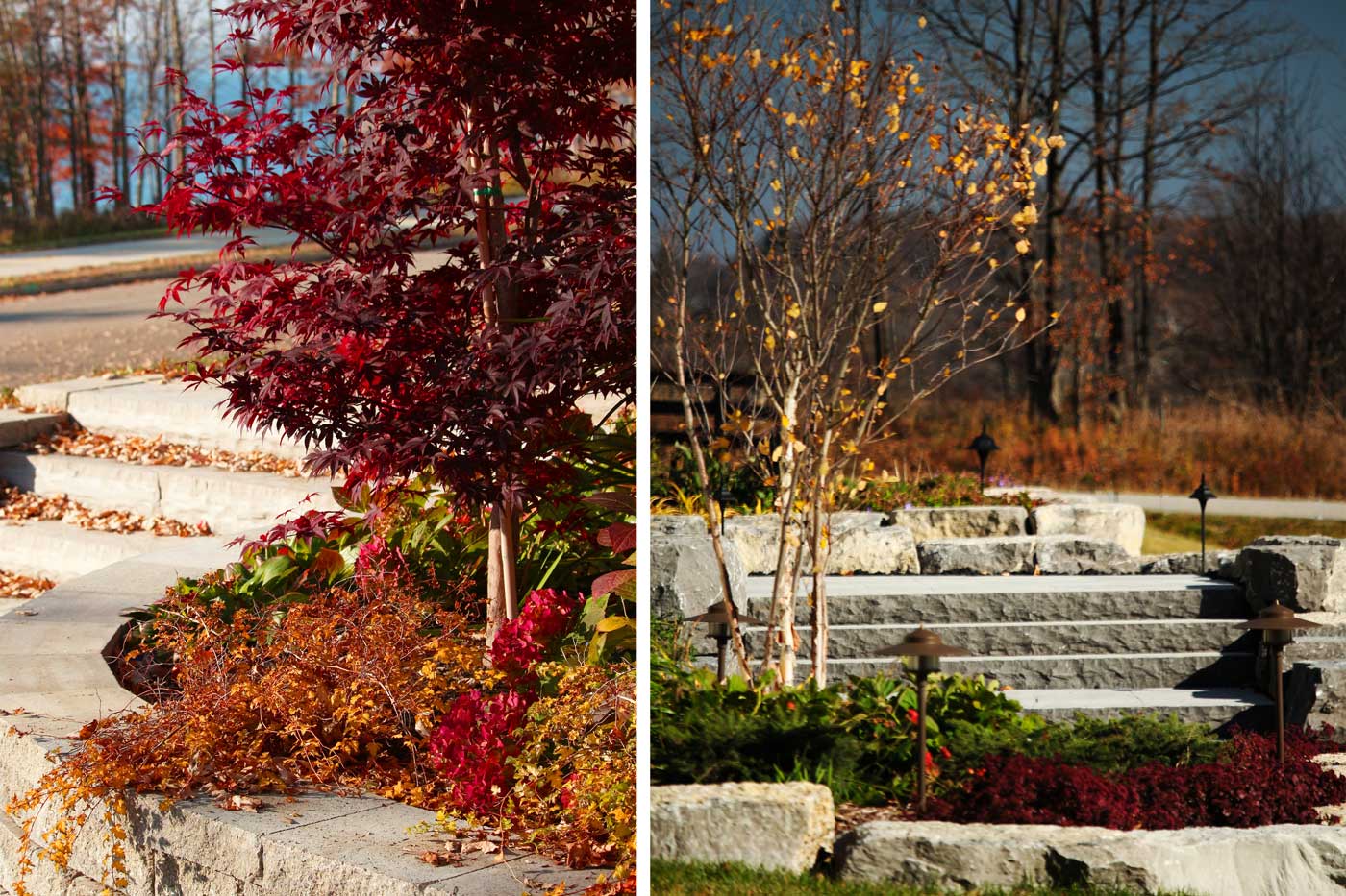 Landscape Design Archives - Dearborn Designs & Associates