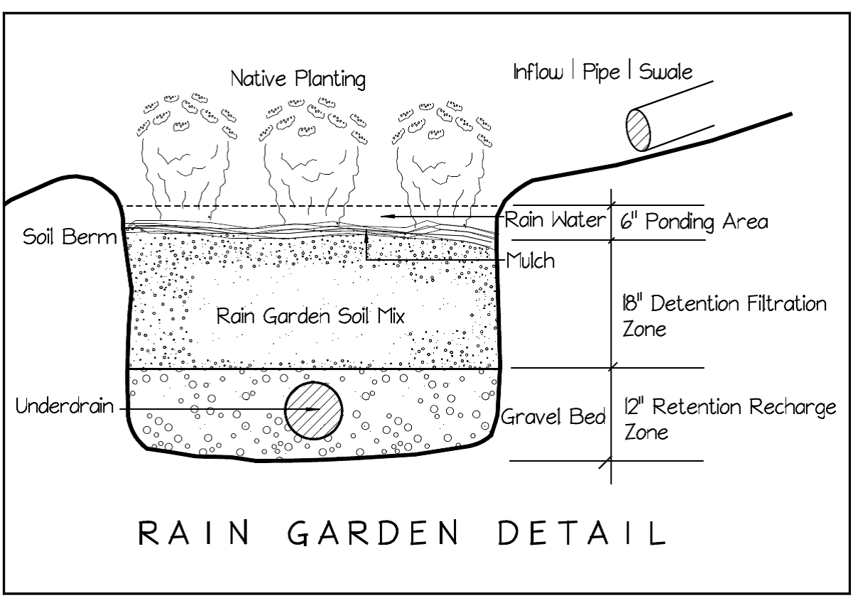 Rain Garden Detail - Dearborn Designs & Associates